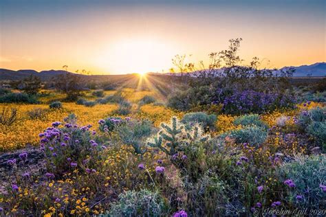 Mooloo On Twitter Сайхан өглөөний мэнд Аз жаргал эрүүл энхийг ерөөе 💕💕💕💕💕