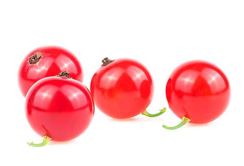 흰색 배경에 고립 된 빨간 건포도 열매 그룹 신선한 잘 익은 베리 건강한 식생활에 대한 스톡 사진 및 기타 이미지 건강한 식생활 과일 까치밥나무 열매류 Istock