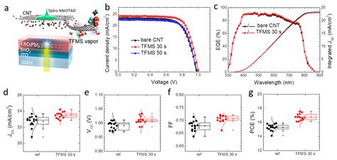 Coatings Free Full Text Recent Progress In Perovskite Solar Cells