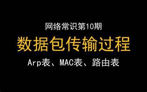 数据包的传输过程网络常识 哔哩哔哩 bilibili