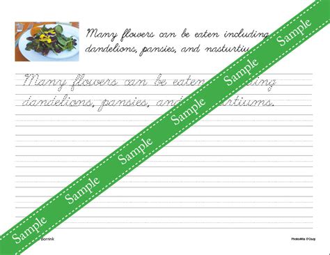 Flowers Plants Copywork Print Cursive Worksheets Sallie Borrink