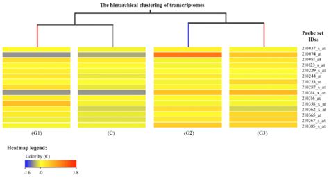 Fragment Of A Dendrogram Representing The Hierarchical Clustering Of
