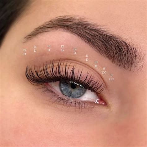 Cat Eye Lash Map Classic Lashes Artofit