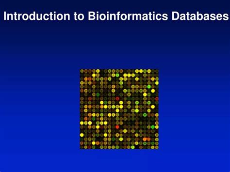 Ppt Introduction To Bioinformatics Databases Powerpoint Presentation Id5968033