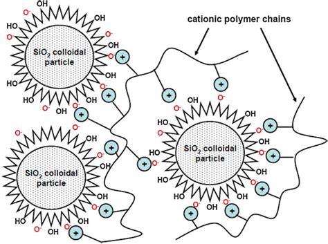 Inhibitor Entrapment Within The Colloidal Silica Matrix Because Of Download Scientific Diagram