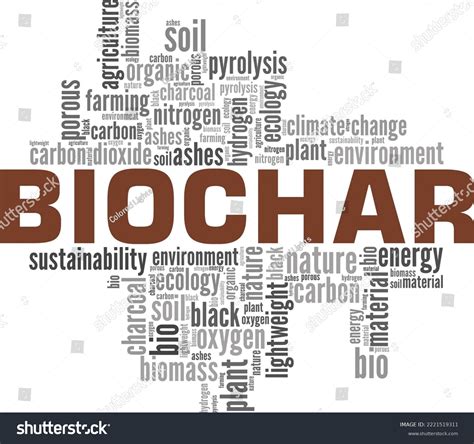 Biochar Word Cloud Conceptual Design Isolated Stock Vector Royalty
