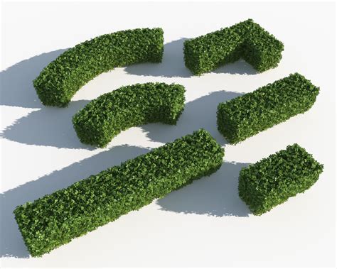 Trimmed Hedges Collection 3d Model 25 Max Fbx Obj C4d Free3d