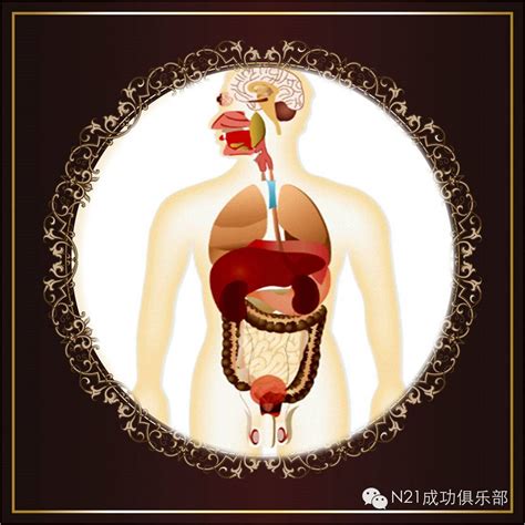 寿命计算器