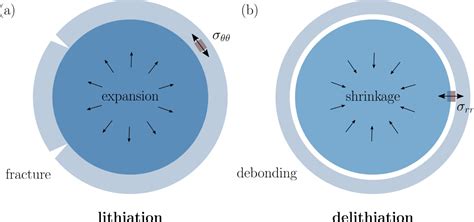 Influence Of Concentration Dependent Material Properties On The Fracture And Debonding Of