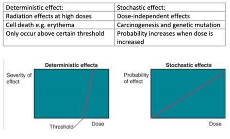 Introduction To Radiology Flashcards Quizlet
