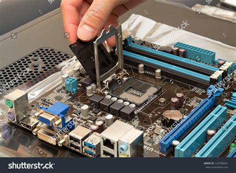 Installing Central Processor Unit Into Motherboard Stock Photo 142795654 Shutterstock
