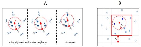 151101451 The Physics Of The Vicsek Model
