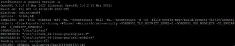 How To Check The OpenSSL Version Number