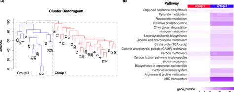 Microbial Gene Expression Profiling Of Subjects A The Samples Were Download Scientific Diagram
