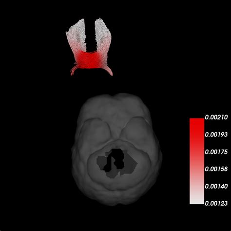 plot3d error · issue 236 · mic dkfz tractseg · github
