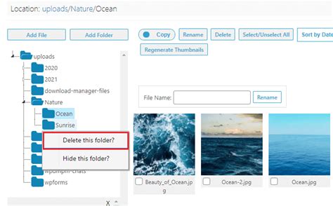 How To Organize Files In WordPress Media Library Folders Attire