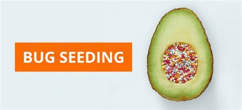 What Is Software Bug Seeding Qatestlab Blog