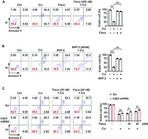 P Tefb Inhibitors Abolish Cisplatin Induced Cell Death A Effect Of Download Scientific