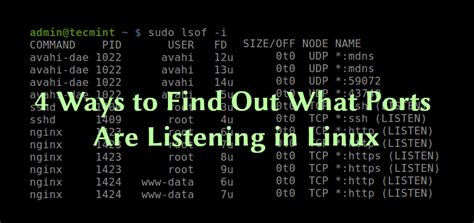找出 Linux 中正在监听的端口的 4 种方法