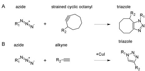 Scheme S4 General Scheme Of Two Click Reactions A The Copper Free Download Scientific Diagram