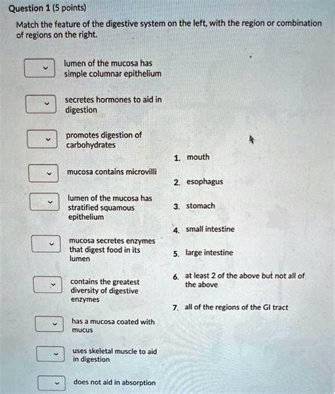 solved question 1 5 points match the feature of the digestive system
