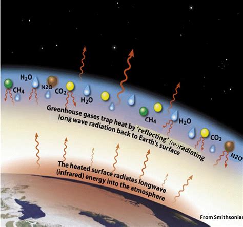 Greenhouse Effect Gases At Lawrence Henderson Blog