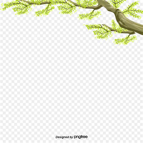 Tree Branch Leaves PNG Picture Green Trees Branches And Leaves Bifurcate Tree Crotch PNG