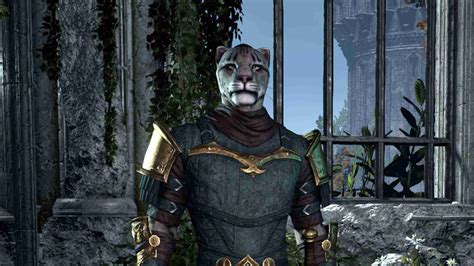 Elder Scrolls Online Khajiit Armor