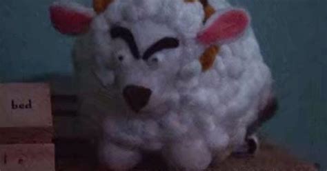 Grumpy Sheep Album On Imgur