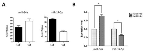 Validation Of Mirna Array Data A Array Hybridization Signals Of