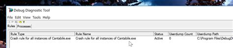 Using Microsofts Procdump And Debug Diagnostics Tools Cantabile Software For Performing