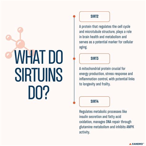 The Function Of Sirtuins And Sirtuin Activators Xandro Lab