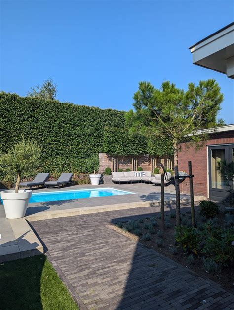 Luxe Achtertuin Met Zwembad En Overkapping Verstegen Tuinen And Grondwerk