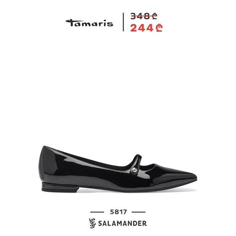 Salamander Salamander Georgia სალამანდრა საქართველო