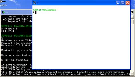 Cygwin