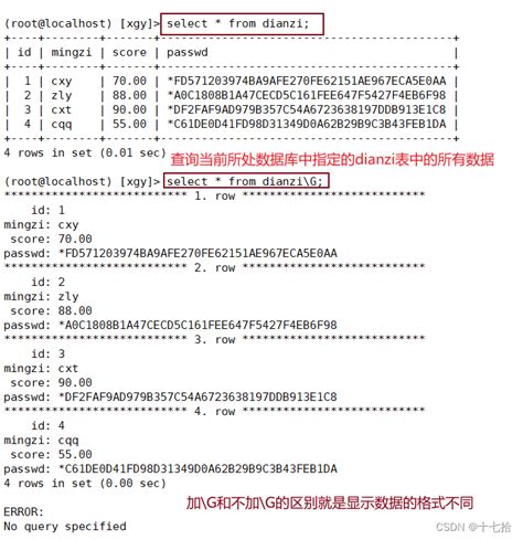 Mysql数据库：基础sql语言详解 Csdn博客