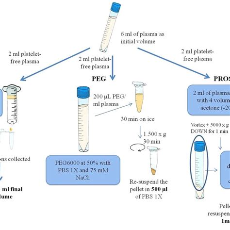 Evs Characterization By Nanoparticle Tracking Analysis Nta A