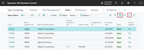 Dynamics 365 Business Central Automatically Display Pages I