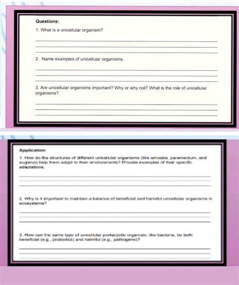 Questions 1 What Is A Unicellular Organism 2 StudyX