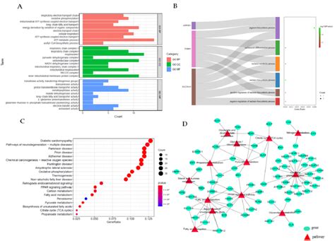 Functional Enrichment Analyses Of Degs A Go Enrichment Annotation Of