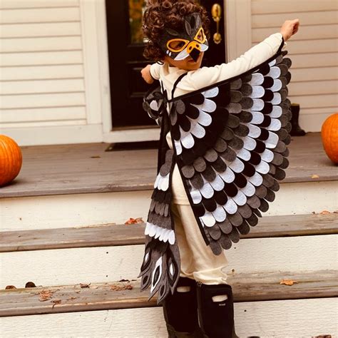 Peregrine Falcon Costume