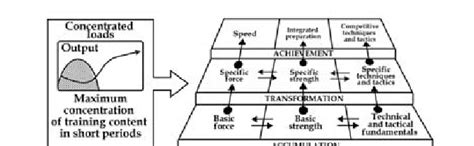Physical Qualities Developed In Each Mesocycle Source Manso 2010 Download Scientific Diagram