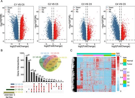 Analysis Of Differences Between Four Tumor Subtypes And Normal Samples