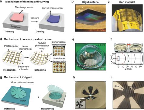 Retina‐inspired Curved Image Sensors A Schematic Illustration Of The