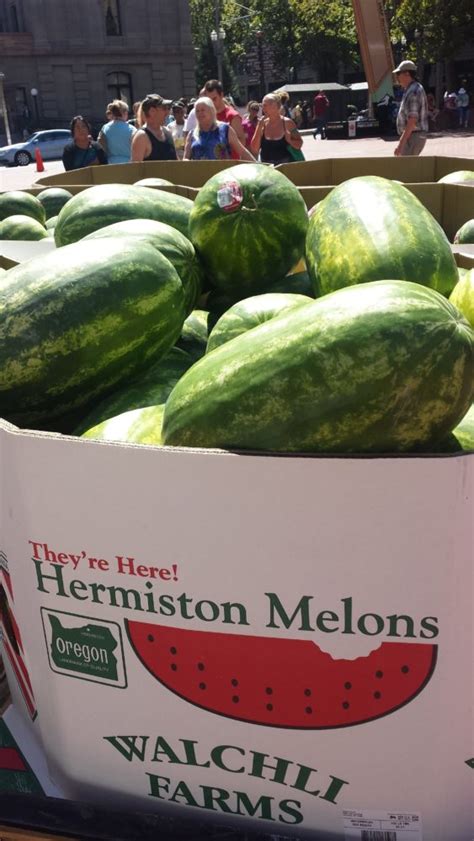 Hermiston Watermelon Giveaway The Square