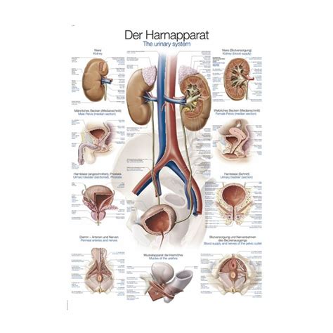 ОТДЕЛИТЕЛНА СИСТЕМА Medmag
