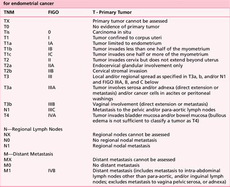 Endometrial Cancer Staging