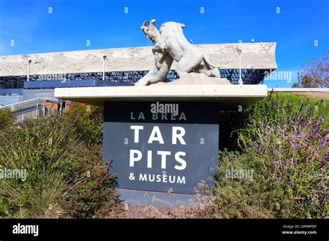 Los Angeles California La Brea Tar Pits And Museum One Of The Worlds