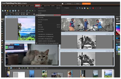 KB Corel PaintShop Pro Selecting The Display Of Documents In Workspace