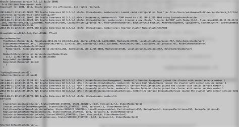 Nostra Technology Tutorial Oracle Coherence 1